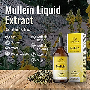 Mullein Leaf Tincture - Lung Cleanse - Vegan Mullein Drops - Lung Detox - Respiratory Health and Immune Support Drops - Natural Supplement Liquid Extract 4 fl.oz.