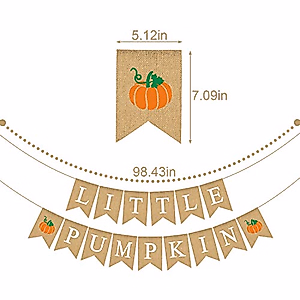 Rainlemon Jute Burlap Little Pumpkin Banner Fall Baby Shower Gender Reveal Birthday Party Garland Decoration