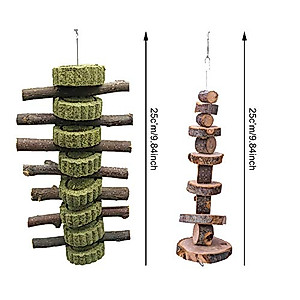 Fansisco Rabbit Chew Toys, Natural Apple Wood and Drying Grass Cake and Activity Balls for Rabbits, Chinchillas, Guinea Pigs, Hamsters Chewing Playing Improve Dental Health (style1)