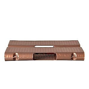 RESCUE! Spider Trap MAX - Large Indoor Sticky Spider Trap - Catches Brown Recluse, Hobo Spiders, Black Widows & Wolf Spiders - 2 Pack (4 Traps)