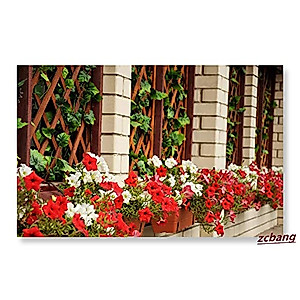 zcbang Petunia Seeds 2000+Pcs 'Colour-Themed Collection'(Rainbow Colors) Perennial Flower Mix Seeds