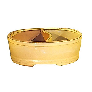 Bonsai Boy Beige Ceramic Bonsai Pot - Oval - Land/Water Divider - 8.0" X 6.5" X 3.25"