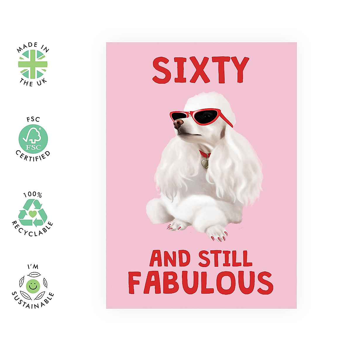 CENTRAL 23 60th Birthday Card For Women - Sixty And Still Fabulous Dog - Wife Mom - Sister - Happy Sixtieth Birthday Greeting Card Female Friends - Comes With Fun Stickers