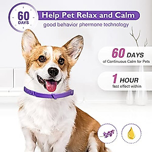 Dogs Calming Pheromones Collar 3 Packs Lasts 60 Days Relieve Reduce Anxiety or Stress 25 Inches Adjustable Relaxing Comfortable Collar Breakaway Design for All Small Medium and Large Dog