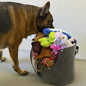 Jalousie Dog Toy Storage Basket Dog Toy Bin with Handle - Heavy Duty Thick Felt Extra Bonus Squeaky Dog Toy Included - Perfect for Organizing Pet Toys and Accessories Puppy Toy Storage for Easy Assess