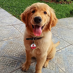 MYLUCKYTAG Emotional Support Animal (ESA) Tag, QR Code Silicone Pet ID Tag Dog Cat Tag, Online Pet Profile, Pet Location Alert Email, Digital Pet Tag, Quiet Tag, Collar Tag, Engraved Pet Tag