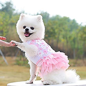 Girl Dog Clothes for Small Dogs Girl Dog Wedding Dress Puppy Clothe Dog Dresses for Medium Dogs Girl Cat Dresses for Cats Only Dog Birthday Dress Dog Tutu Dog Outfits 2 Pack (Small)