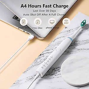 Sonic Electric Toothbrush Rechargeable for Adults, 2 Dupont Brush Heads & Travel Case Toothbrush Box, USB Charging Last 30 Days 5 Modes 3 Intensities Smart Timer (239 White)