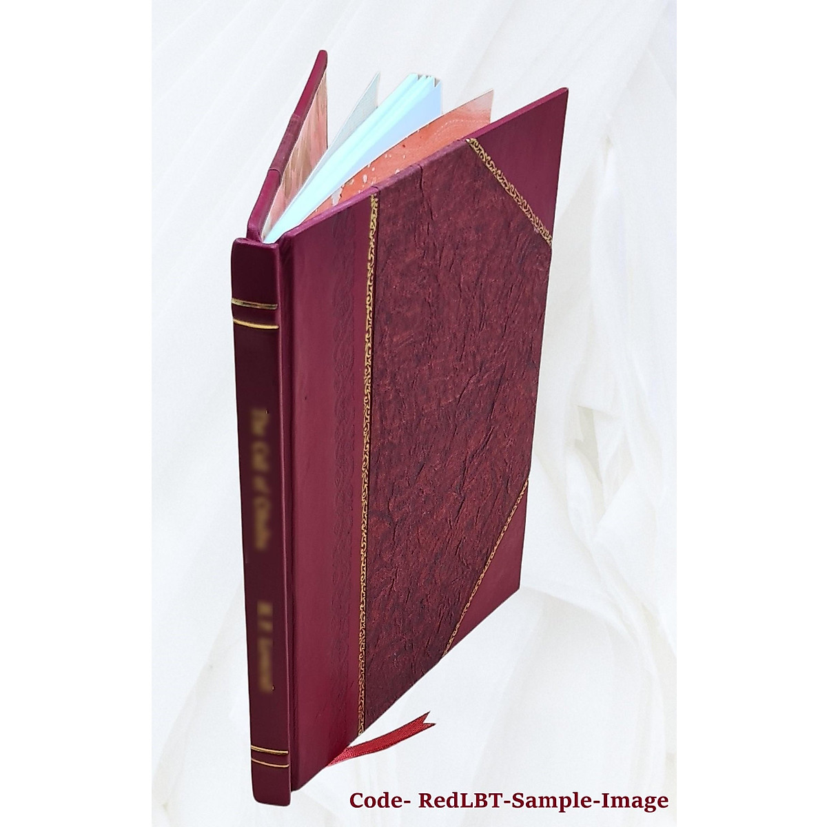 The sanctuary or tent of meeting, usually called the tabernacle : a short study of its forms, materials, etc. .. a short study of its forms, materials, etc. .. 1895 [Leather Bound]