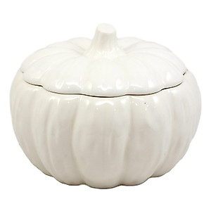 Ebros Gift Ceramic Stoneware White Harvest Pumpkin Bowl With Lid 6" Diameter (1)