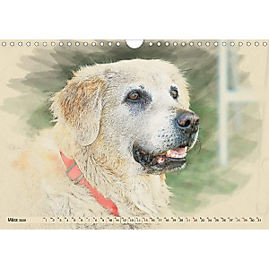 Golden Retriever 2020 (Wandkalender 2020 DIN A4 quer): Golden Retriever im kunstvollen Aquarell-Stil. Jedes Monatsmotiv gleicht einem kleinen Kunstwerk (Monatskalender, 14 Seiten )