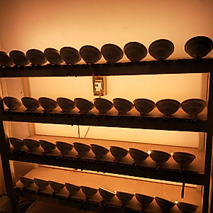 BAOMING PAR 56 LED Bulb Dimmable Replace Standard Halogen PAR56 300 Watt Light AC/120V 28W Warm White (2700~3000K) Base Type: GX16D