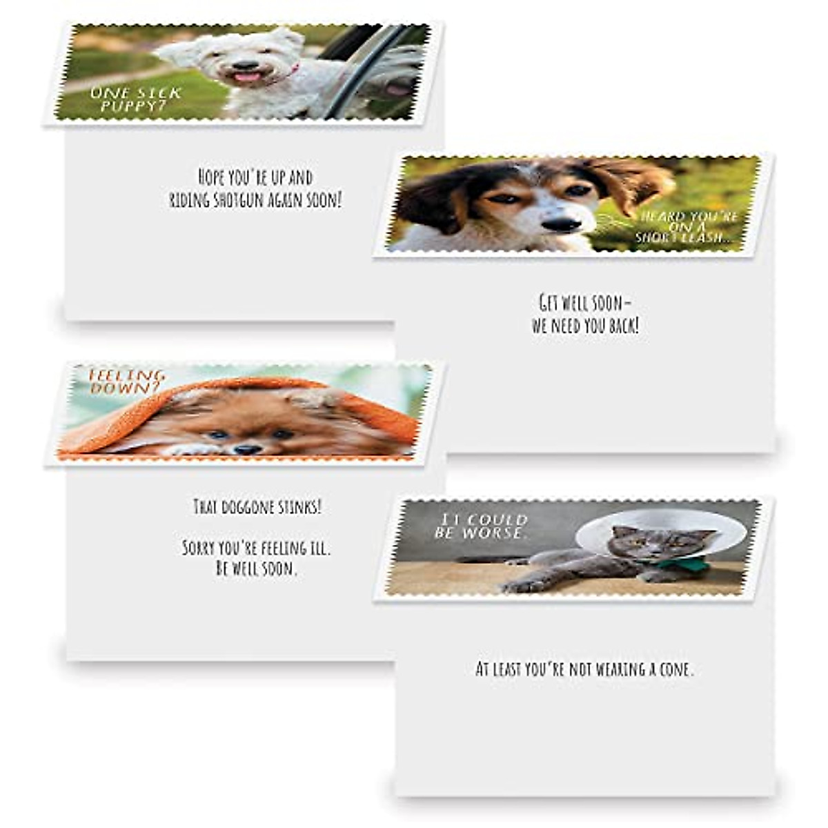 Current Furry Friends Get Well Greeting Cards Value Pack - Set of 20, 10 Unique Designs, Large 5 x 7 Inch Cards, Sentiments Inside, Dogs, Cats, Pets