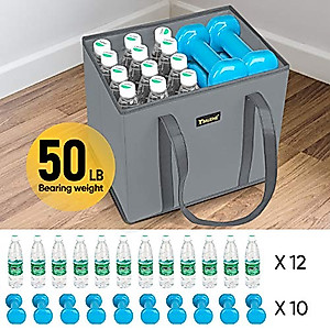 BALEINE 3Pk Reusable Grocery Bags, Foldable Shopping Bags for Groceries with Reinforced Bottom & Handles (Reindeers)