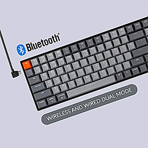 Keychron K4 96% Layout 100 Keys Wireless Bluetooth 5.1/Wired USB Mechanical Gaming Keyboard with Gateron G Pro Blue Switch RGB Backlight N-Key Rollover for Mac Windows PC-Version 2