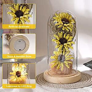 Sunflower Gifts for Women, Sunflowers Artificial Flowers in Glass Dome with LED Strip, Birthday Gifts for Mom & Grandma, Sunflower Decor on Mother's Day, Christmas, Valentine's Day (Yellow)