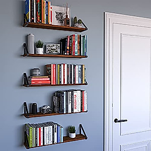 Wallniture Ponza Floating Shelves for Wall, 24" Floating Bookshelf, Wood Wall Shelves for Bedroom Decor, Walnut Set of 5