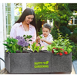 Fabric Grow Bags, 2-Pack Raised Garden Bed with Handle for Vegetable Herbs, Fabric Plant Pots Indoor Outdoor, 3 sq. ft.