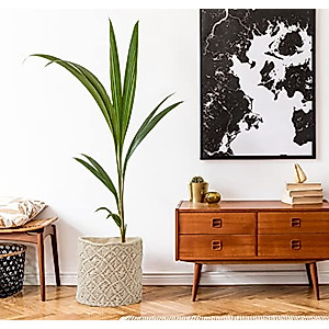 Americanflat 13" Woven Macrame Storage Basket with Natural Cotton Rope - Nursery Basket, Boho Laundry Basket, Macrame Plant Basket or Macrame Décor