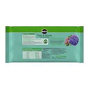 Miracle-Gro Tree & Shrub Plant Food Spikes, 12 Spikes/Pack, 12 count (Pack of 1)
