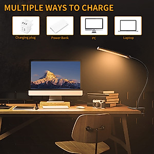 Desk Lamp for Office Home, Eye-Caring USB Clip on Light 3 Modes 5 Brightness, Adjustable 5W LED Desk Light Flexible Gooseneck Clamp Light for Workbench Headboard Study Reading Drafting(Metal)