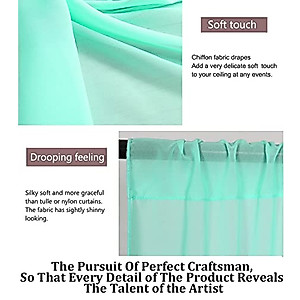 Partisout Chiffon Backdrop Curtain 29x120 inches 2 Panels Chiffon Drapes for Wedding Arch Wedding Backdrop Curtain Panels Semi-Sheer Curtains 120 inches Long Voile Chic Tulle Curtain (29x120, Mint)