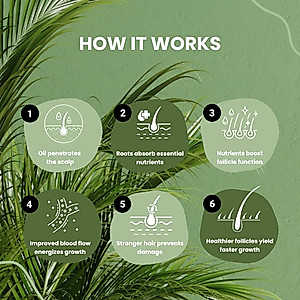 (2-Pack) 10 in 1 Hair Growth Oil (2 Oz) | Formulated With African Chebe Powder For Extreme Hair Growth, 2 Fl Oz (Pack of 1), 2.0 ounces