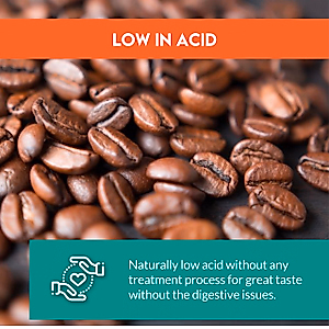 Clean Coffee Co. | Low Acid Coffee, 12oz Bag Ground Coffee | Medium Roast from Papua New Guinea | Toxin and Mold Free, Antioxidant Rich, Smooth Taste for Espresso, French Press, or Iced Coffee