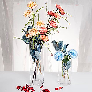 CnArtisan Glass Cylinder Vase, 16 Inch Tall X 4 Inch Wide, 6 Pieces, Perfect for Wedding Centerpieces and Home Decor, Suitable for Flowers, Floating Candles, Pillar Candles and Succulents