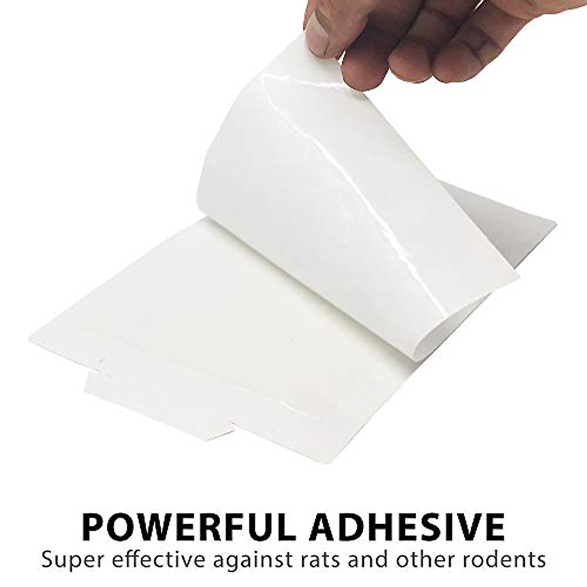 UCatch 6 Pack of Ultra-Sticky Insect, Mouse, Rat, Glue Board Pest Trap - Foldable Pest Jail, Nontoxic, Peanut Butter Scented - Foolproof and Handy with Super-Stick Formula