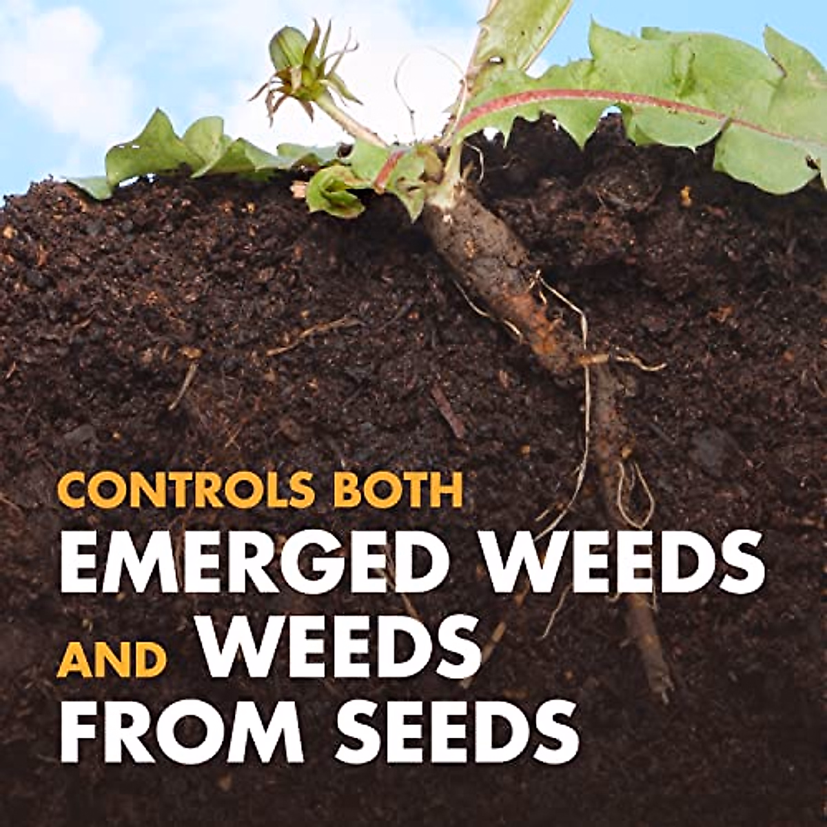 Spectracide Weed Stop For Lawns For St. Augustine & Centipede Lawns Concentrate, Ready-to-Spray, 32-Ounce, 6-Pack, Clear