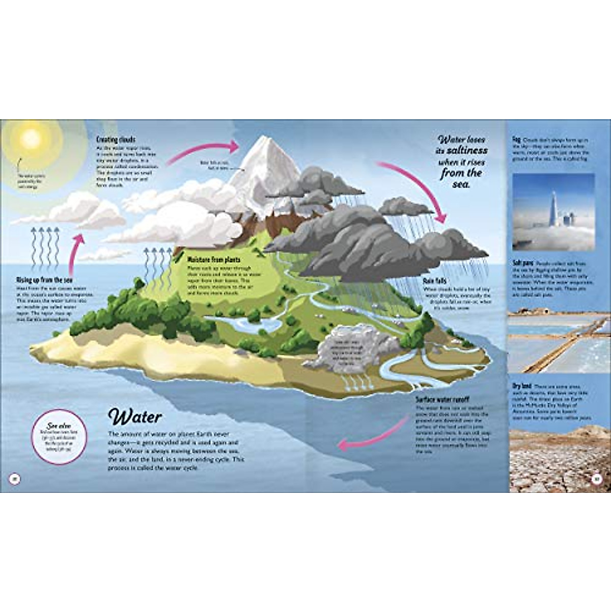 Life Cycles: Everything from Start to Finish (DK Life Cycles)
