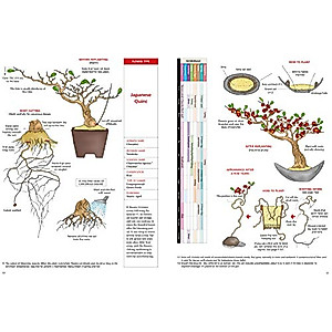 Introduction to Bonsai: The Complete Illustrated Guide for Beginners (with Monthly Growth Schedules and over 2,000 Illustrations)
