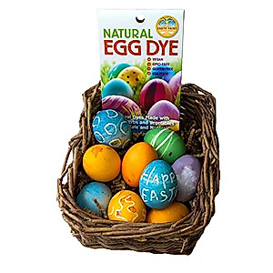 Earth Paints Natural Egg Dye Kit, 1 EA