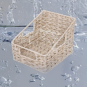 GRANNY SAYS Wicker Basket with Handles, Trapezoid Decorative Woven Baskets, Waterproof Wicker Storage Baskets for Shelves, Wicker Baskets for Organizing, Butter Milk, 2-Pack