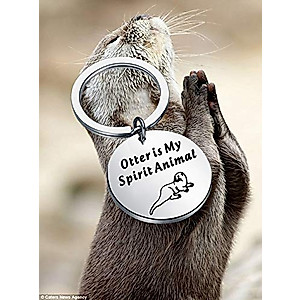 MYOSPARK Otter Jewelry Otter Is My Spirit Animal Keychain Otter Lovers Gift Animal Lover Gift Cute Otter Animal Gift (Otter KC)