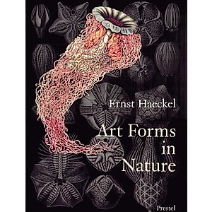Art Forms in Nature: The Prints of Ernst Haeckel
