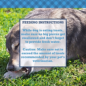 Country Living Whole Pig Ears Dog Treats - 100% Natural, Premium Pork Chews for Dental Care, High Protein & Low Fat, Fully Digestible Snacks for All Breeds & Sizes - 15-Pack