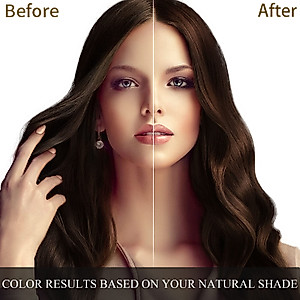 Ivnil Meidu Dark Brown Hair Dye Shampoo 3 in 1 Color for Grey Coverage Seimi Permanent Instant Champu Para Canas Mujer for Women/Men - Herbal Ingredients Natural Plant