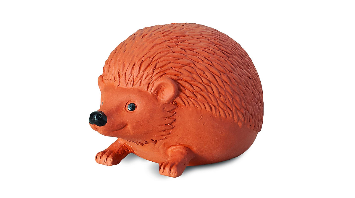 Chia Pet Hedgehog Planter - Fun & Easy to Grow