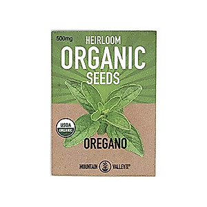 Oregano Herb Garden Seeds - Common Italian - 500 mg Packet - Non-GMO, Certified Organic Oregano Herbal Spice Gardeing Seed