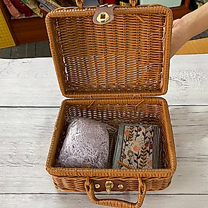 MSUIINT Rattan Storage Basket, Retro Wicker Suitcase, Willow Handwoven Receiving Bins with Handles, Straw Seaweed Makeup Organizer, Vintage Crossbody Bags Container Womens Handbag, 8.7x6.7x4.3 inch