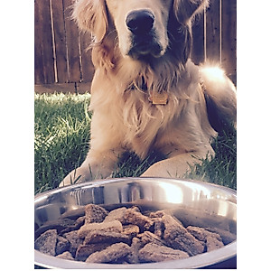 PLATO, Pet Treats, Original Real Strips Turkey & Pumpkin 12oz