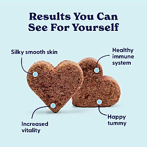 Origin Labs Adult Dog Multifunction Support, Omega 3 Supplement, Gut Health Probiotics, Immune Support, Heart, Skin, Liver, Brain, Joint Health, Glucosamine Chondroitin, Bacon Flavor, 90 Soft Chews