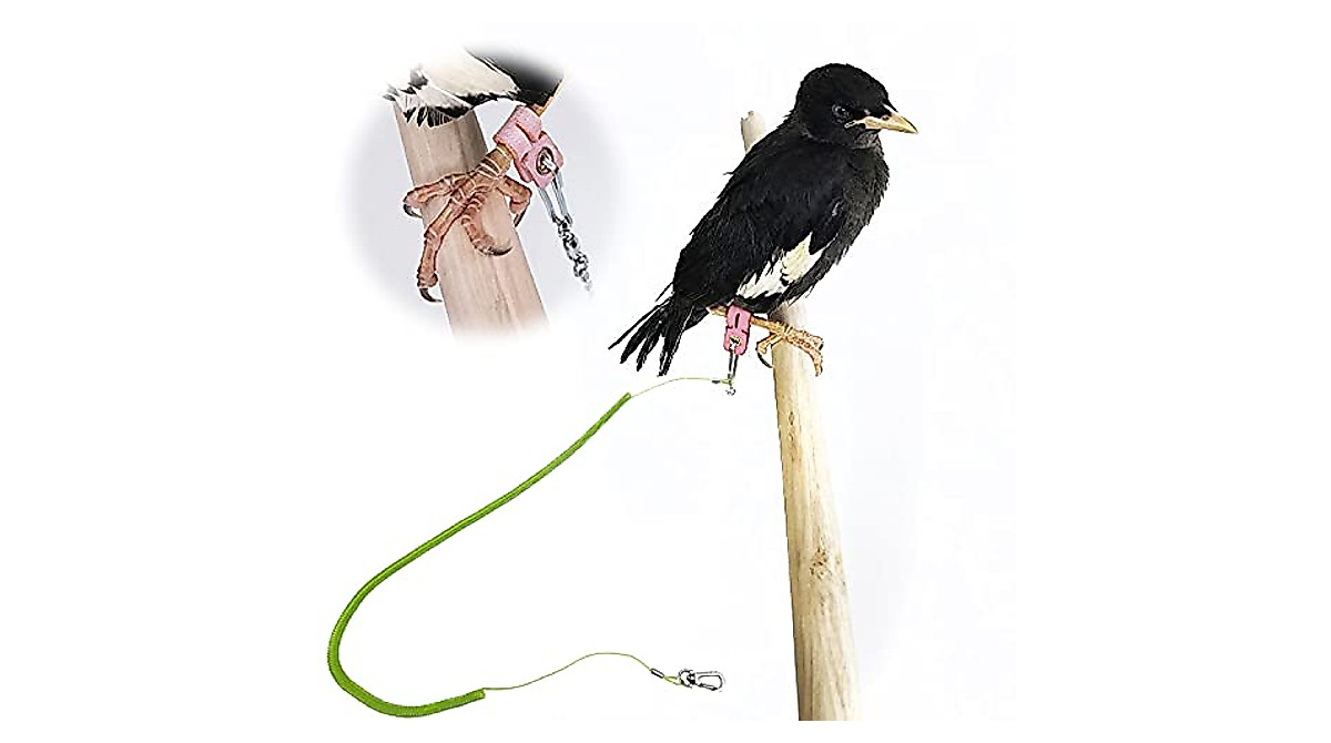 Parrot Bird Harness Leash - Safe Outdoor Flight Training Gear