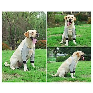 Adjustable Dog Elbow Protector Soft Breathable Stable Support for Injury, Front Legs Sleeve for Dog Recovery (S)