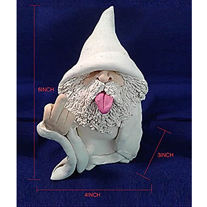 Tirifer Garden Gnome, Wizard Gnome 3D Dwarves, Polyresin Outdoor Sculpture Stick Out Tongue Gnome Statue Garden Figurine Art Garden Decoration for Lawn Yard Balcony Porch Patio