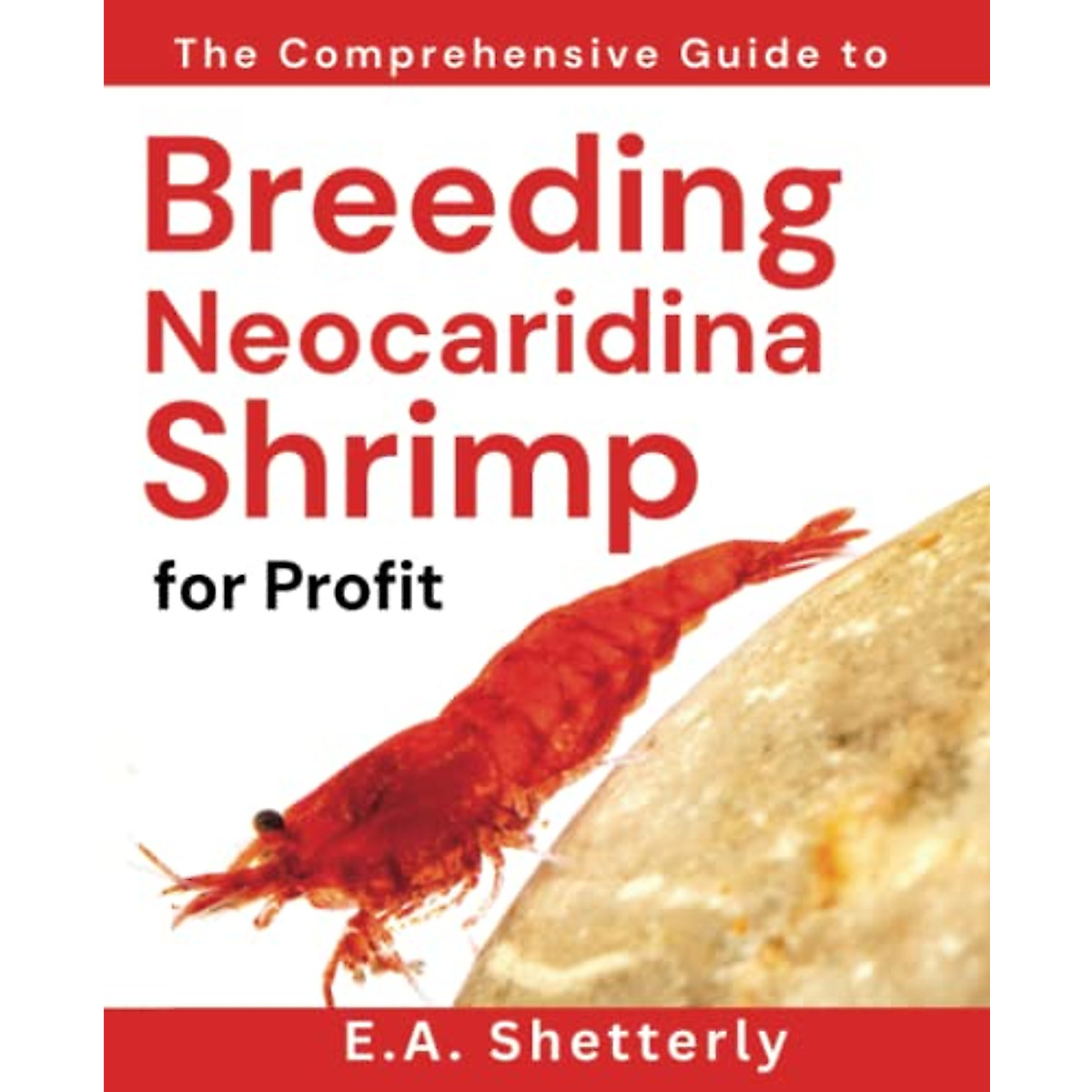 The Comprehensive Guide to Breeding Neocaridina Shrimp for Profit