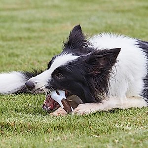 ONTWOPETS 2in 1 Dog Chew Toys for Aggressive Chewers - Nylon Dog Chew Toy with Edible Treat Layer (Bone_New, Large)
