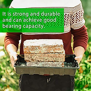 10 Pack Strong Plant Growing Trays, Extra Strength Durable Black Plastic Growing Trays (Without Drain Holes) for Greenhouse and Flowers, Wheatgrass, Sprouting, Plants Growing